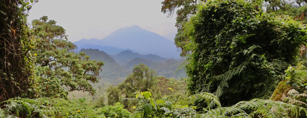 How You Travel Matters. – Indagare