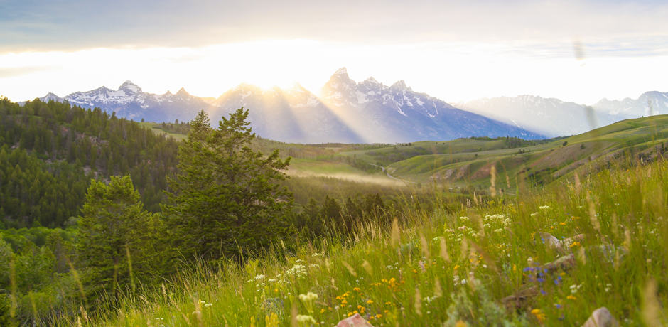 Summer in Jackson Hole, Wyoming - Indagare
